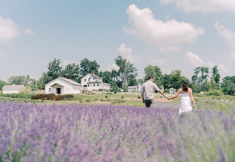 Flower Farms in the Des Moines Area Des Moines Girl