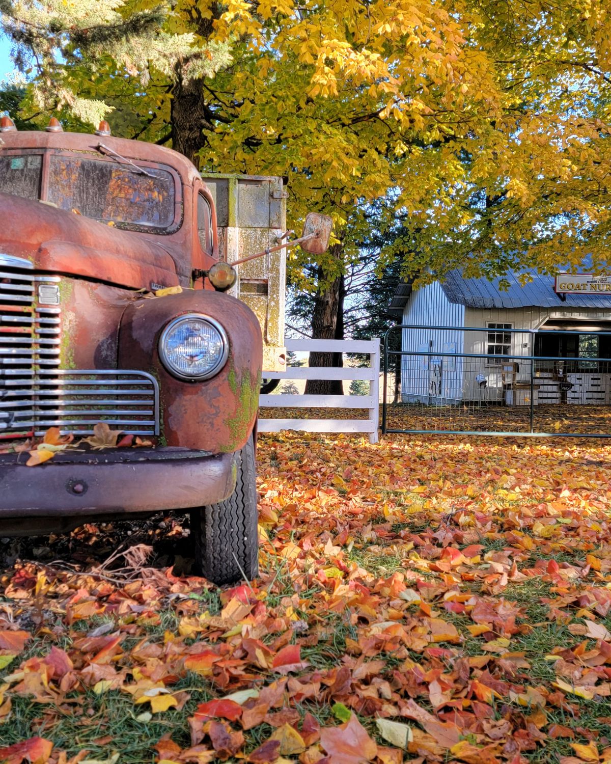 Our Guide to the Best Apple Orchards & Pumpkin Patches- Des Moines Girl