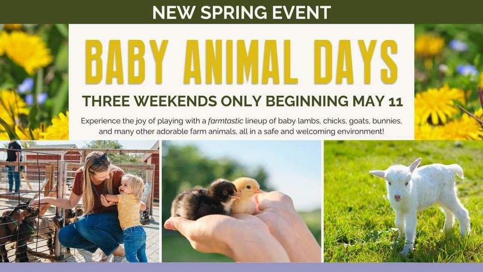 Things to Do in Des Moines This Weekend | May 24-26