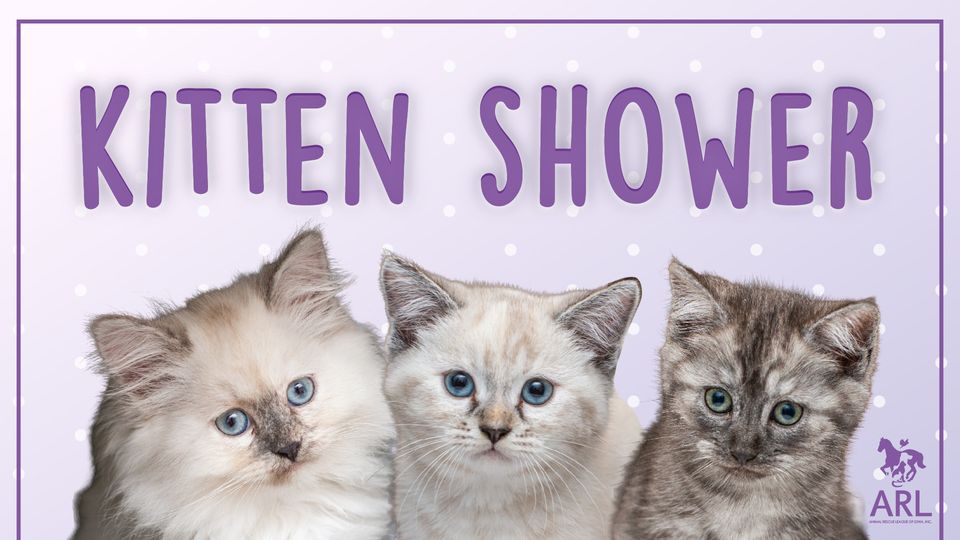 Things to Do in Des Moines This Weekend | May 3-5