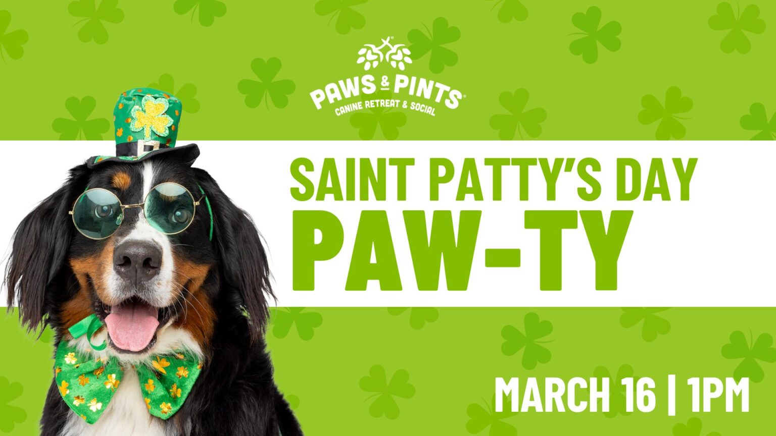 Guide to St. Patrick's Day in Des Moines - Des Moines Girl